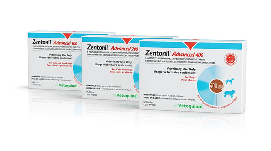 Zentonil Advanced 400 – Vetmeds